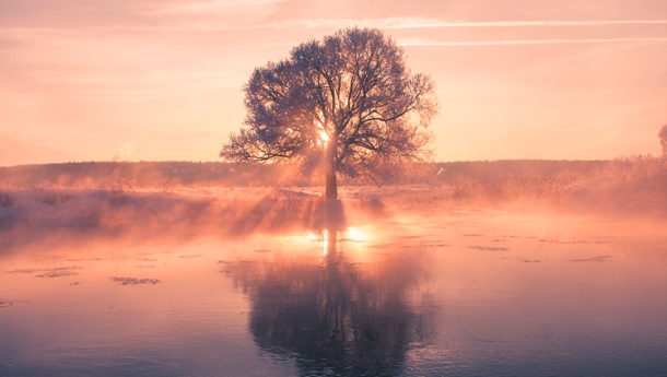 Tribute Fund - Treetops Hospice